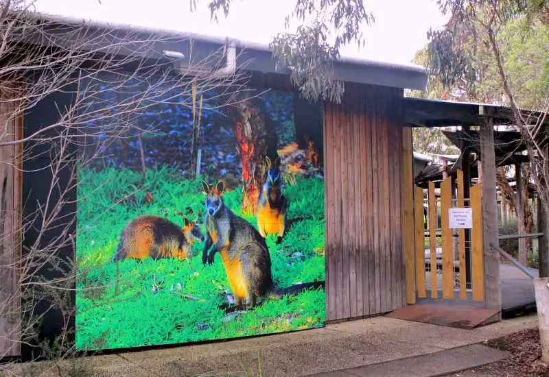 Narana Geelong: Everything You Need To Know